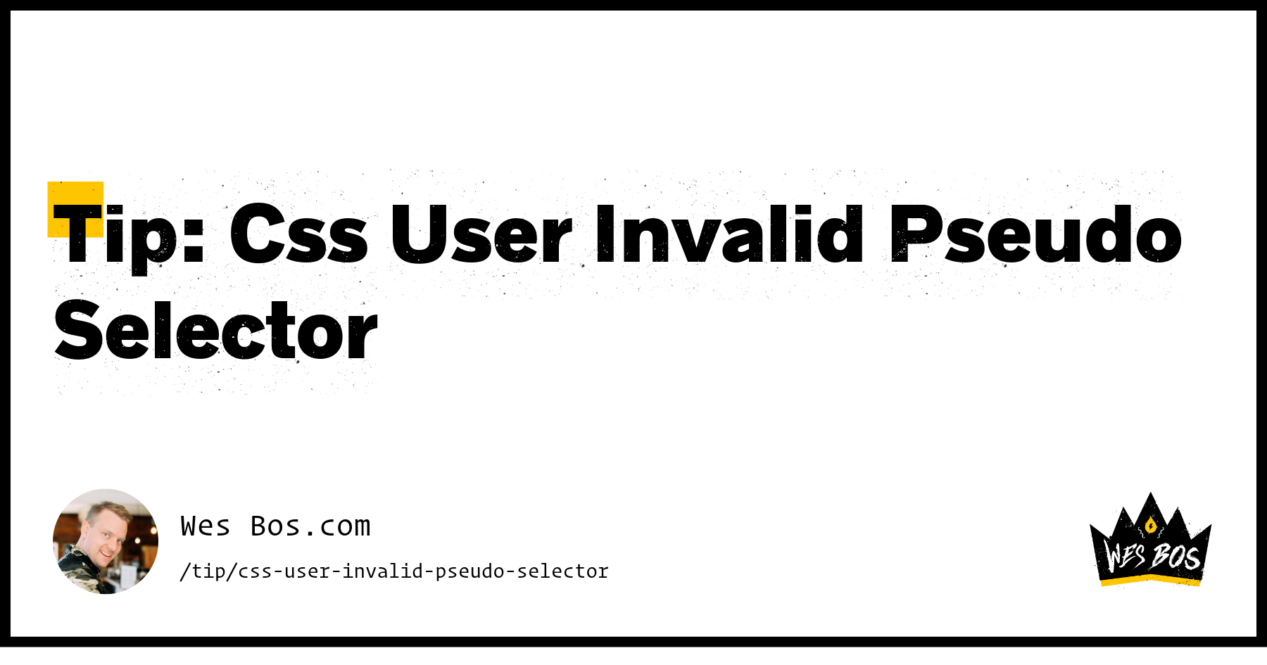 Tip: Css User Invalid Pseudo Selector - Wes Bos